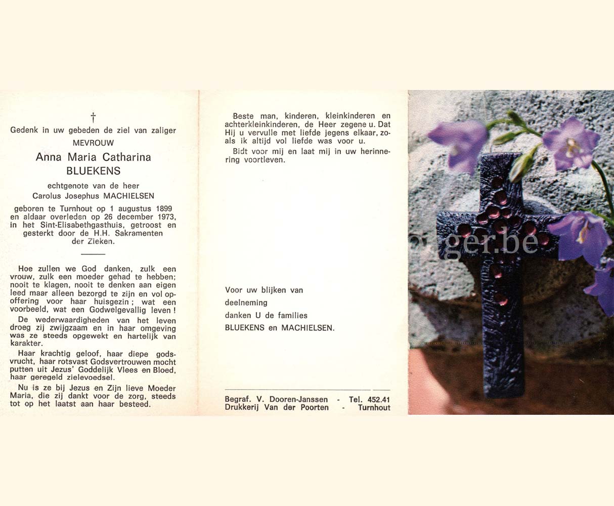 Turnhout van Vroeger - Familie Bluekens