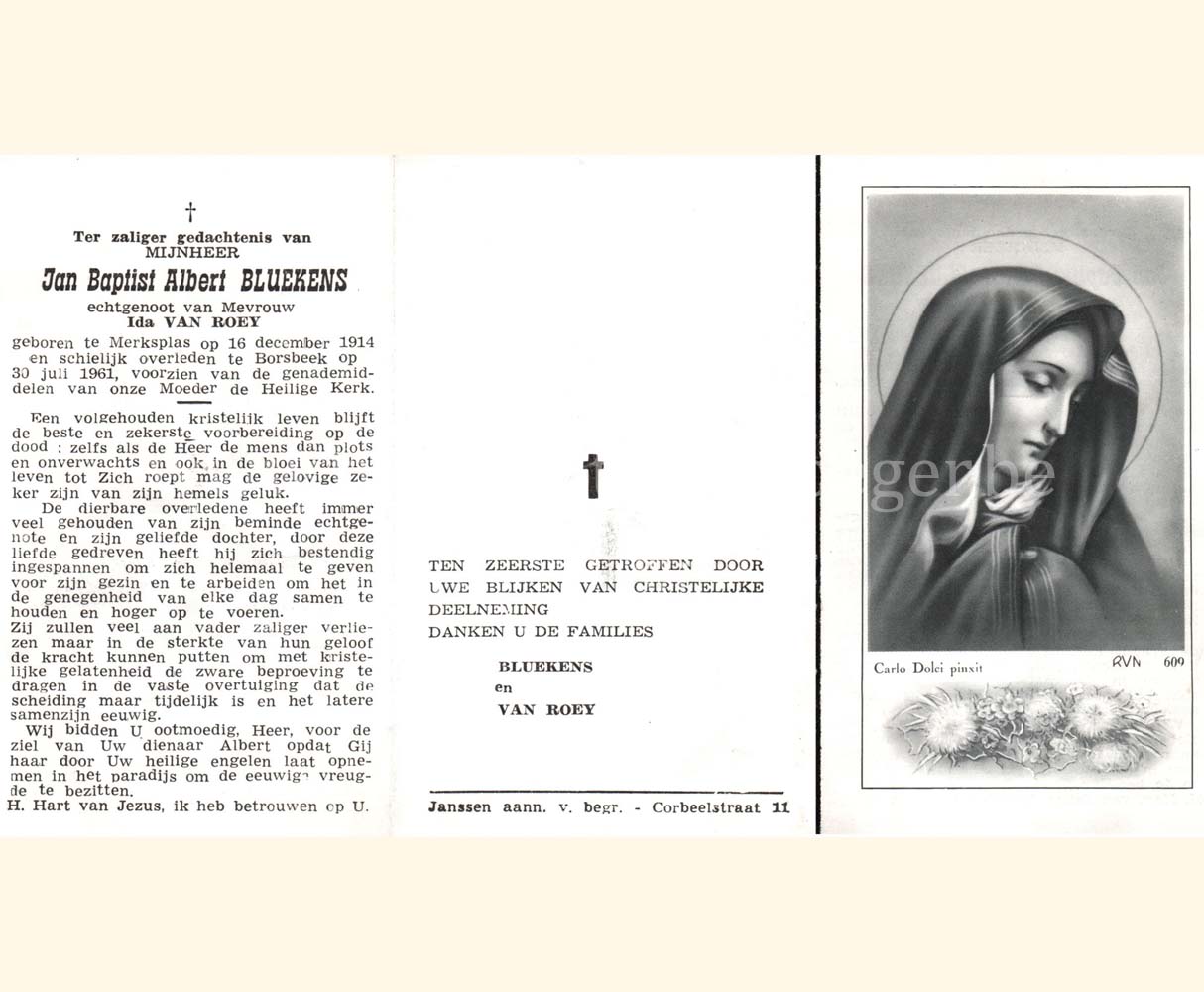 Turnhout van Vroeger - Familie Bluekens