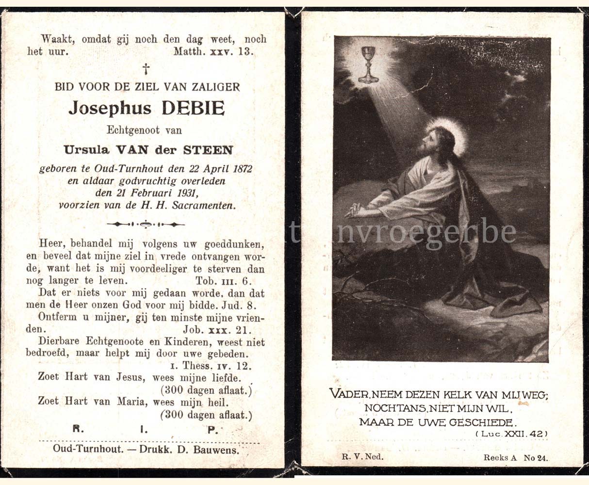 Turnhout van Vroeger - Familie Debie