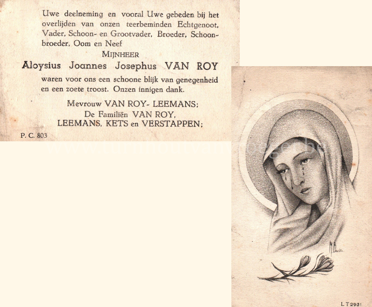 Turnhout van Vroeger - Familie Van Roy